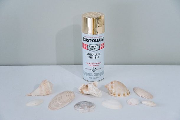 How to Spray Paint Seashells | DIY Gold Painted Seashells