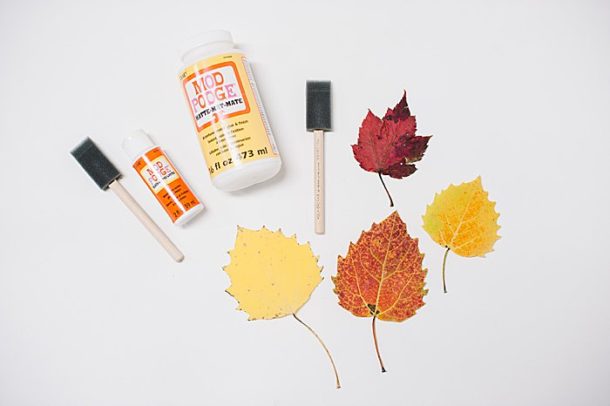 How to Make DIY Mod Podge Leaves to Preserve for Fall Crafts | Laura ...
