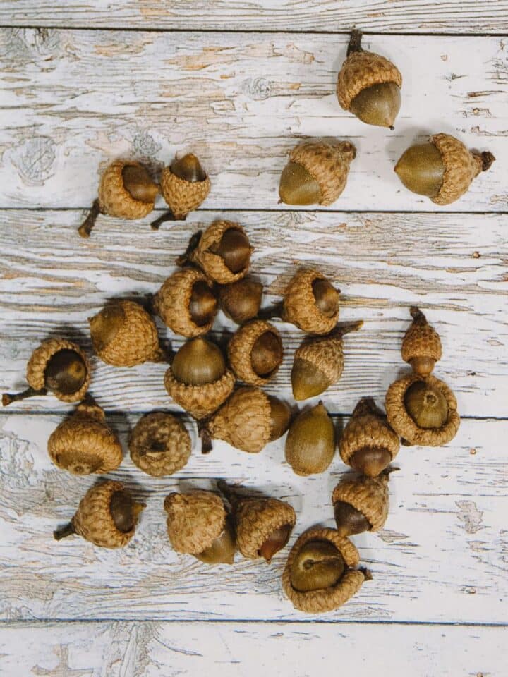 Easy Acorn Craft Ideas - Laura Radniecki