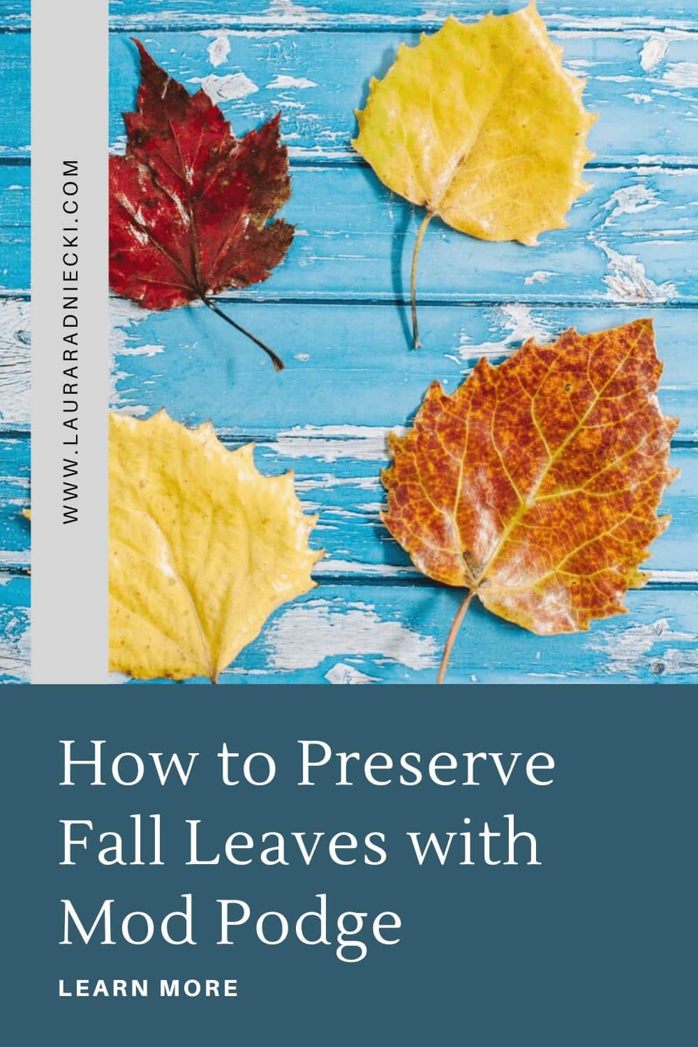 How to Make DIY Mod Podge Leaves to Preserve for Fall Crafts | Laura ...