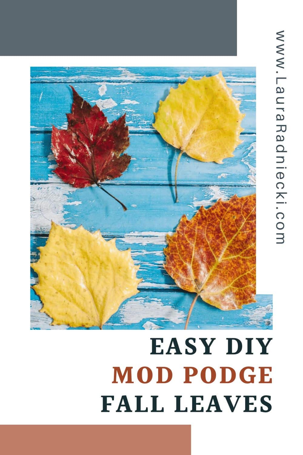 How to Make DIY Mod Podge Leaves to Preserve for Fall Crafts | Laura ...