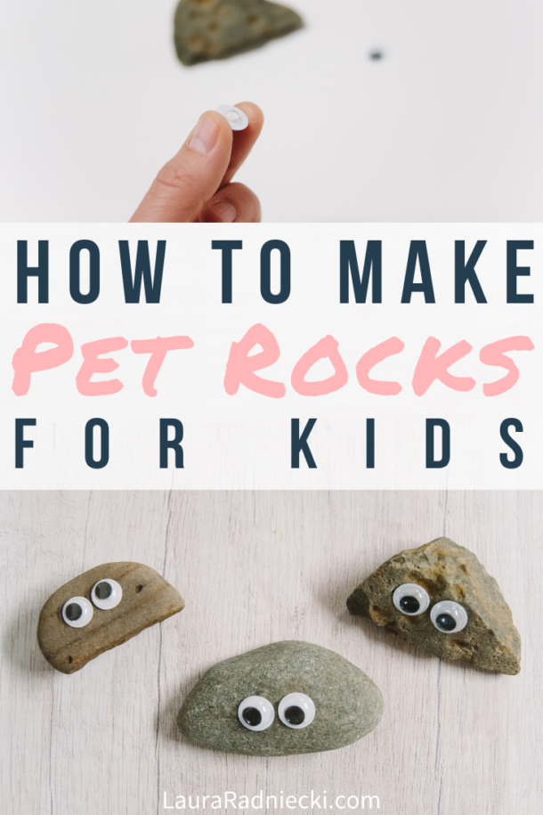 How to Make Pet Rocks for Kids | Easy DIY Kids Crafts