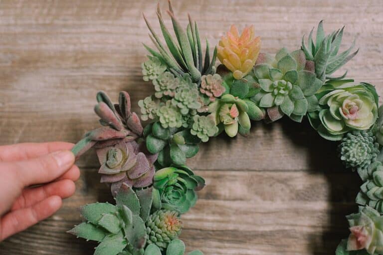 How to Make a Succulent Wreath with Faux Succulent Plants