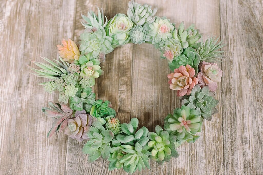 How to Make a Succulent Wreath with Faux Succulent Plants - Laura Radniecki