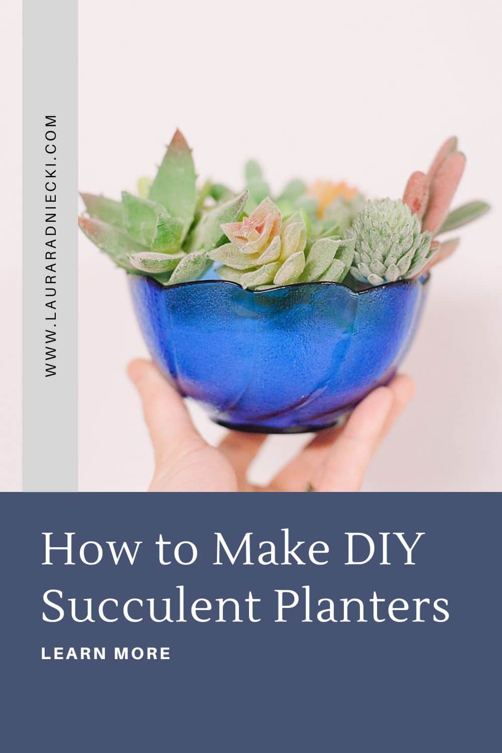 How to Make DIY Succulent Planters - Laura Radniecki