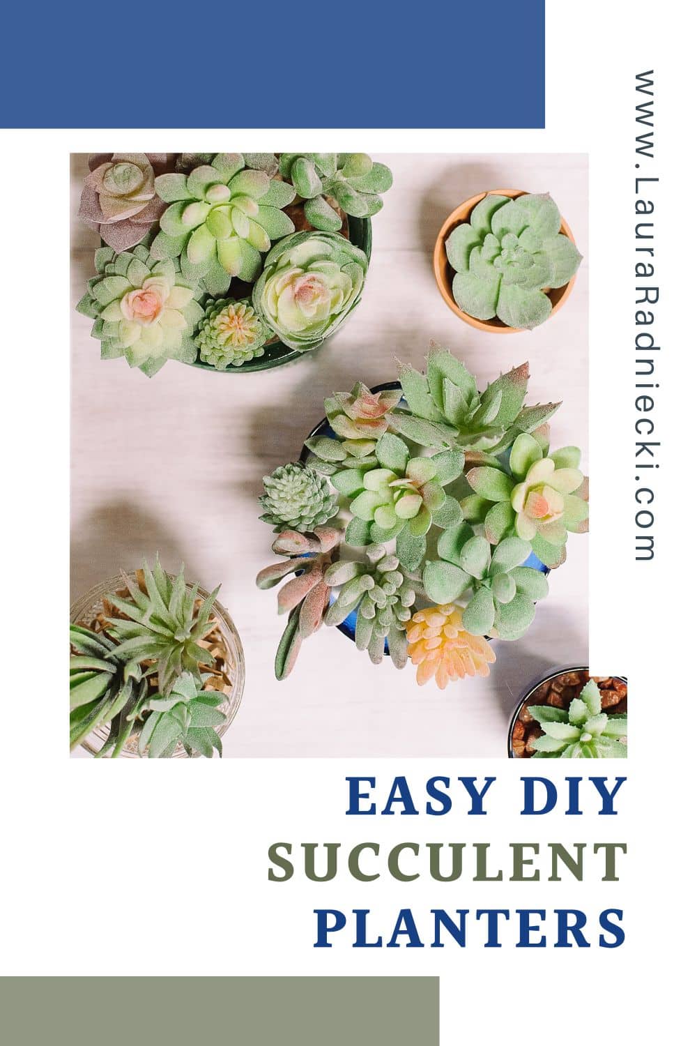 How to Make DIY Succulent Planters - Laura Radniecki