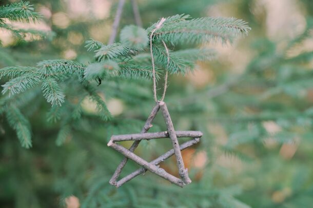 How to Make Stick Christmas Ornaments | DIY Nature Ornaments