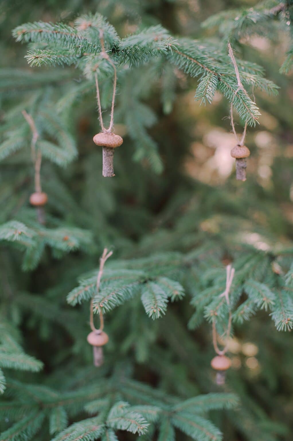 How to Make Acorn Cap Mushroom Ornaments