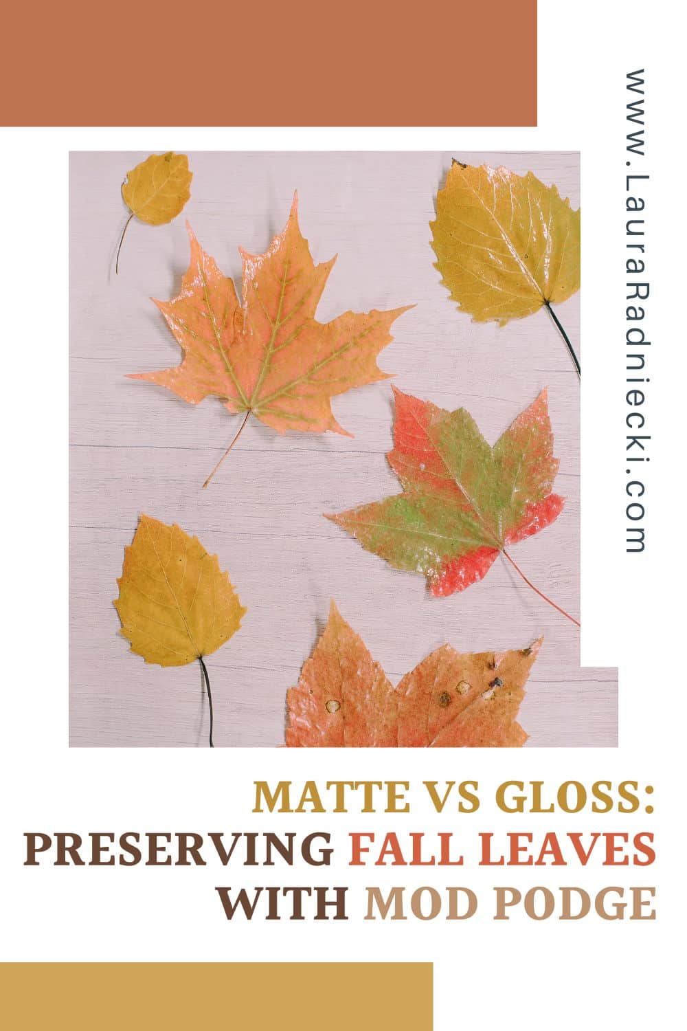 A Look at Matte vs Gloss Mod Podge Fall Leaves - Laura Radniecki