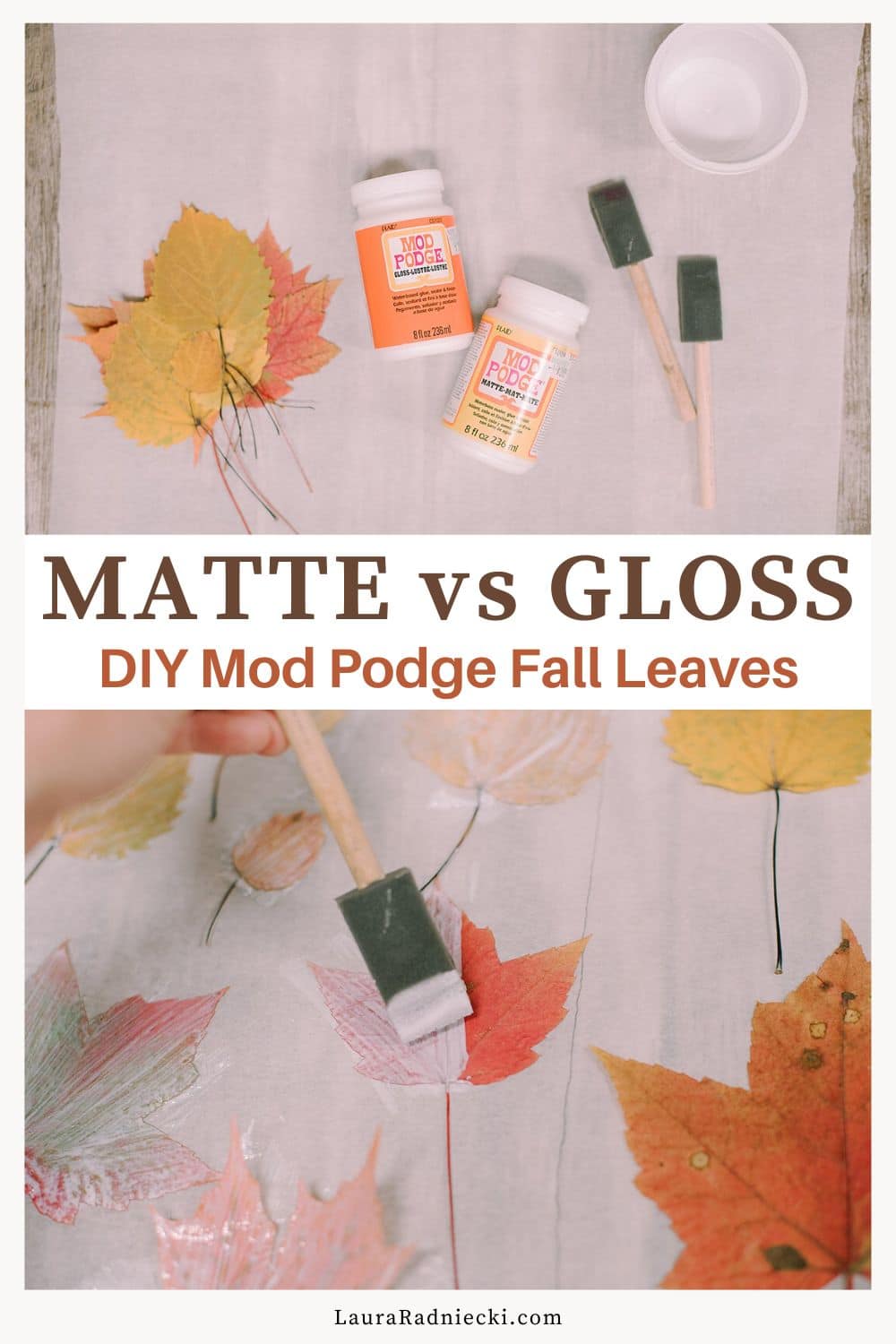 A Look at Matte vs Gloss Mod Podge Fall Leaves - Laura Radniecki