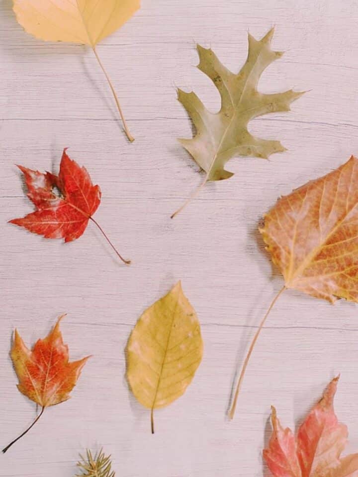 How to Make Felt Leaves