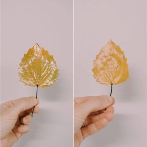 A Look at Matte vs Gloss Mod Podge Fall Leaves - Laura Radniecki