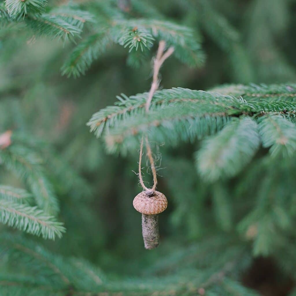 How to Make Acorn Cap Mushroom Ornaments - Laura Radniecki